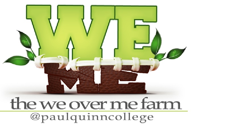 We Over Me Farm - 2015 Featured Non-profit - Kim Schlossberg Designs